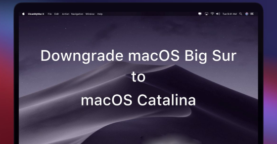 Hướng dẫn hạ cấp macOS Big Sur Beta xuống macOS Catalina